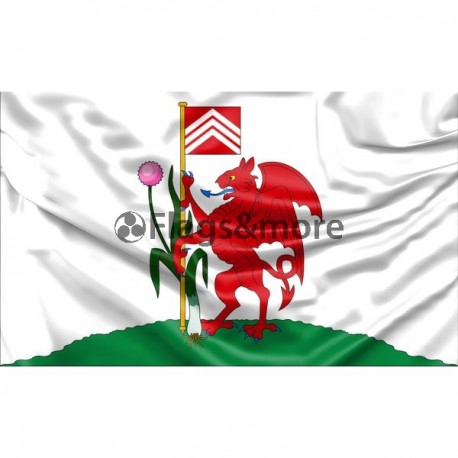 Cardiff Flag - Flags & More LTD