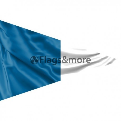 Signal pennant 2nd Substitute - Flags & More LTD